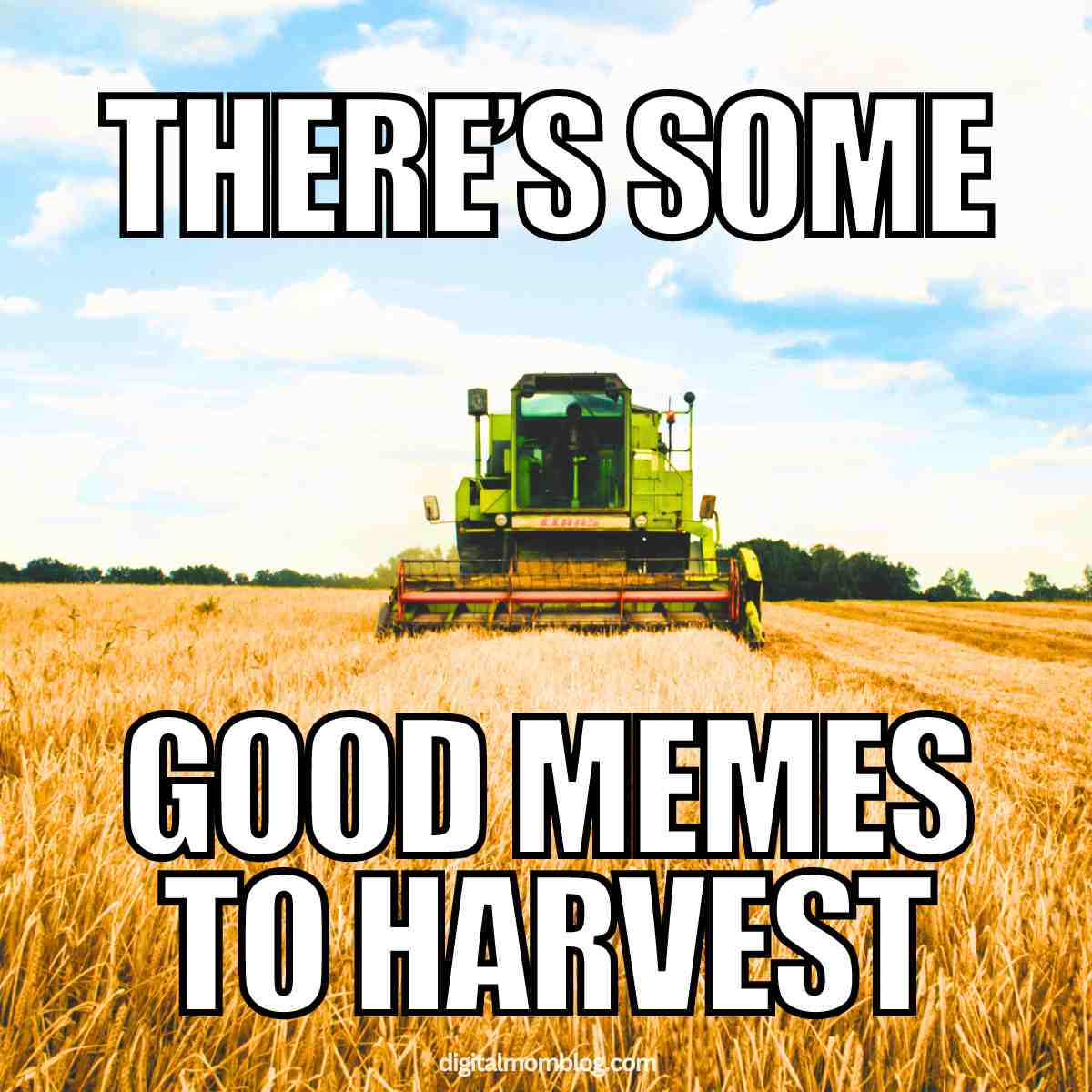 30 Hilarious Autumn Memes To Get You In The Fall Spirit