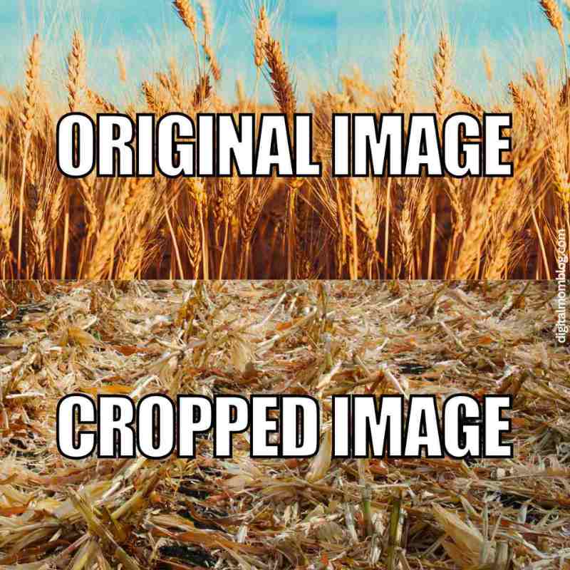 30 Hilarious Autumn Memes To Get You In The Fall Spirit