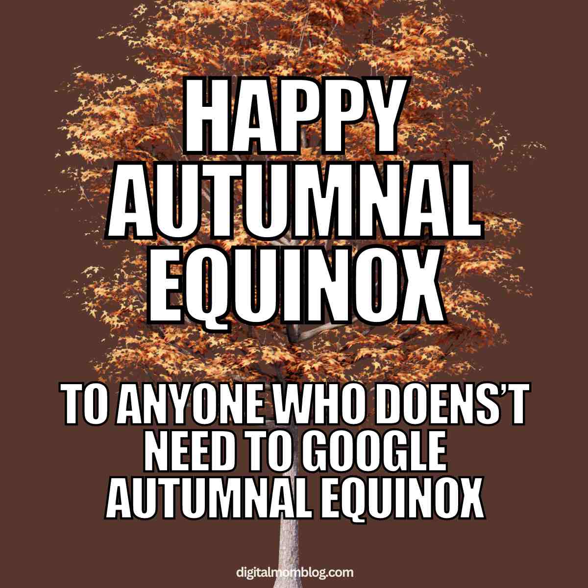 30 Hilarious Autumn Memes To Get You In The Fall Spirit