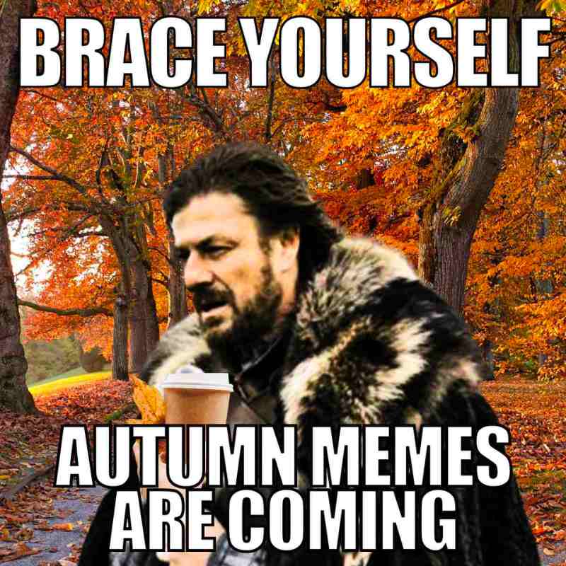 30 Hilarious Autumn Memes To Get You In The Fall Spirit