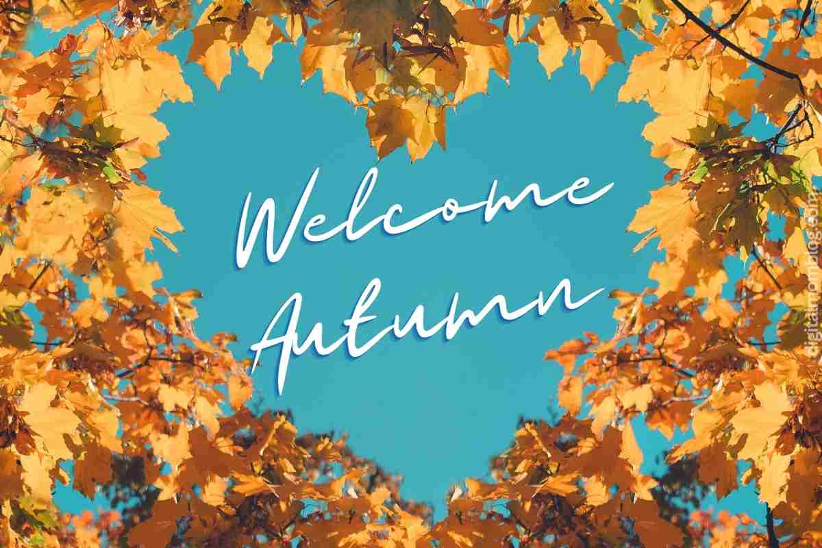 30 Hilarious Autumn Memes To Get You In The Fall Spirit