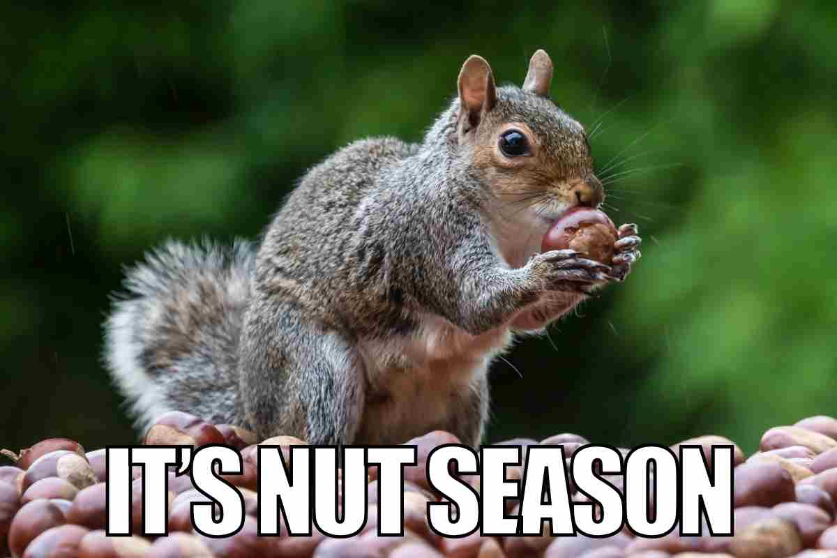 30 Hilarious Autumn Memes To Get You In The Fall Spirit