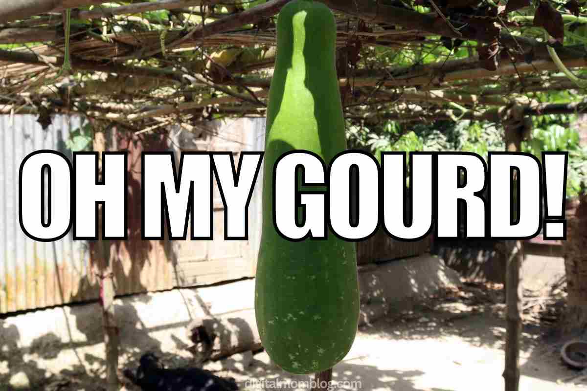 30 Hilarious Autumn Memes To Get You In The Fall Spirit