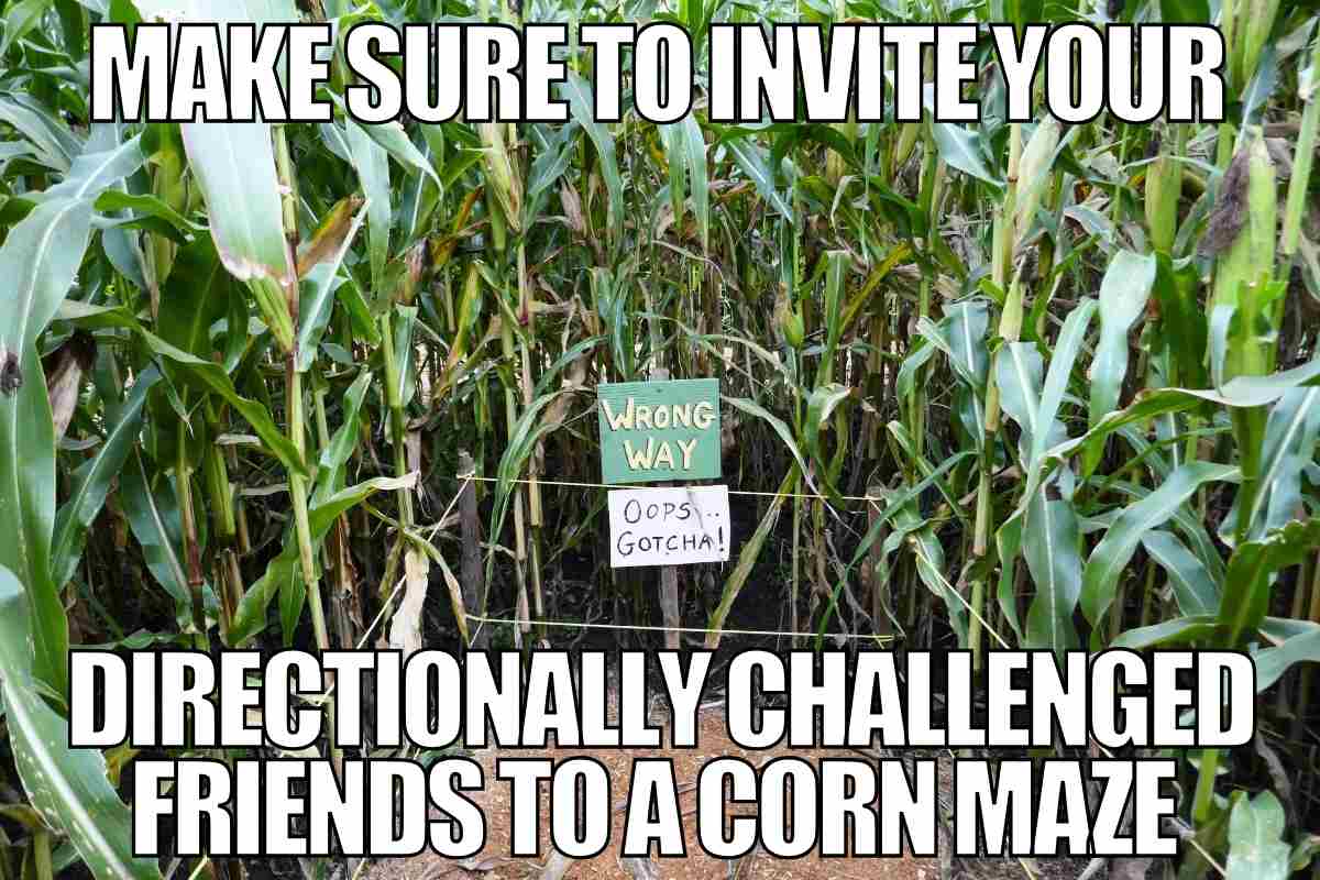 30 Hilarious Autumn Memes To Get You In The Fall Spirit