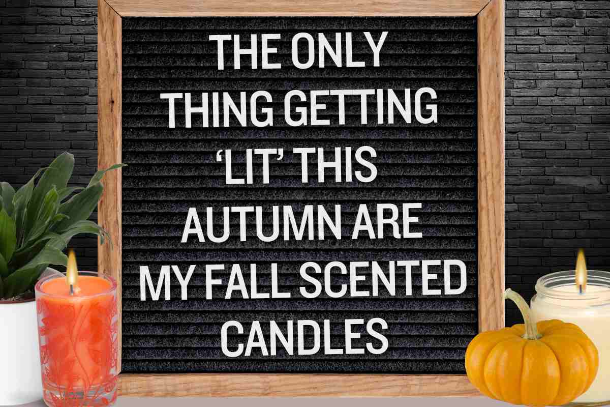 30 Hilarious Autumn Memes To Get You In The Fall Spirit