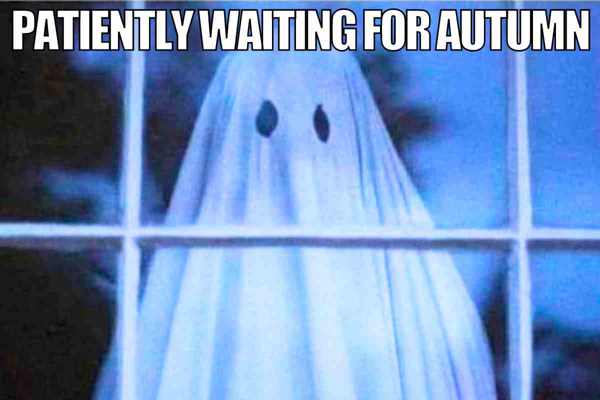 30 Hilarious Autumn Memes To Get You In The Fall Spirit