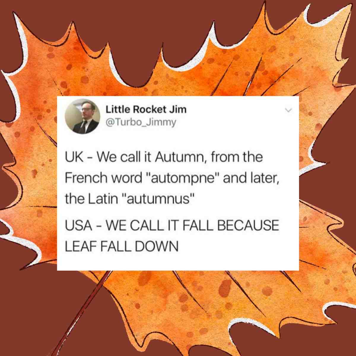 30 Hilarious Autumn Memes To Get You In The Fall Spirit