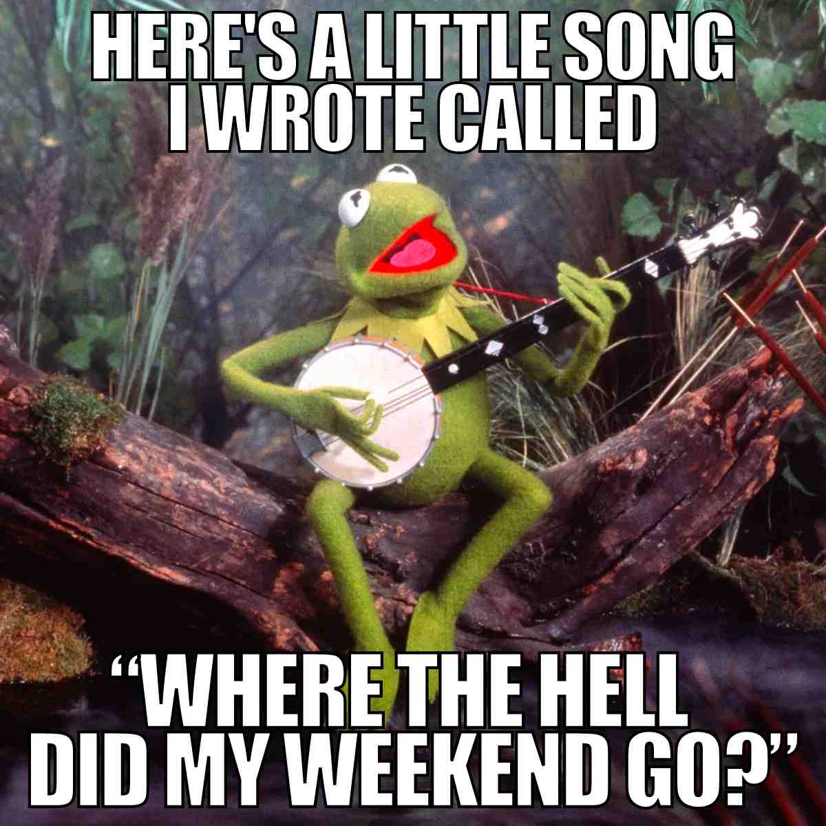 25 Weekend Memes That Will Make You Forget About Monday