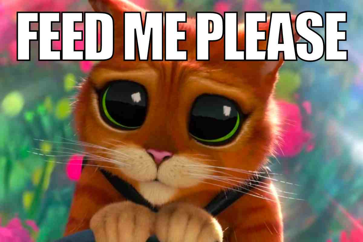 30 Funny Hungry Memes And Images For When You Need Food