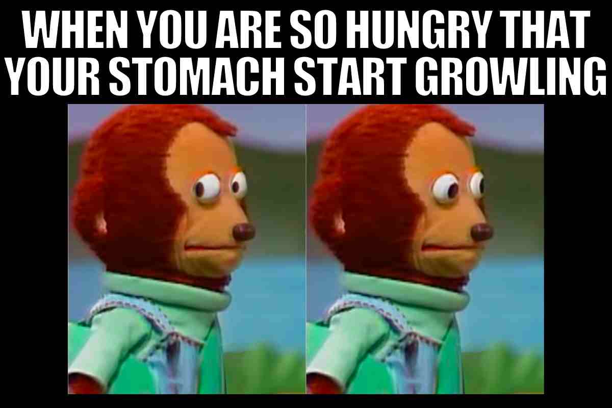 30 Funny Hungry Memes And Images For When You Need Food