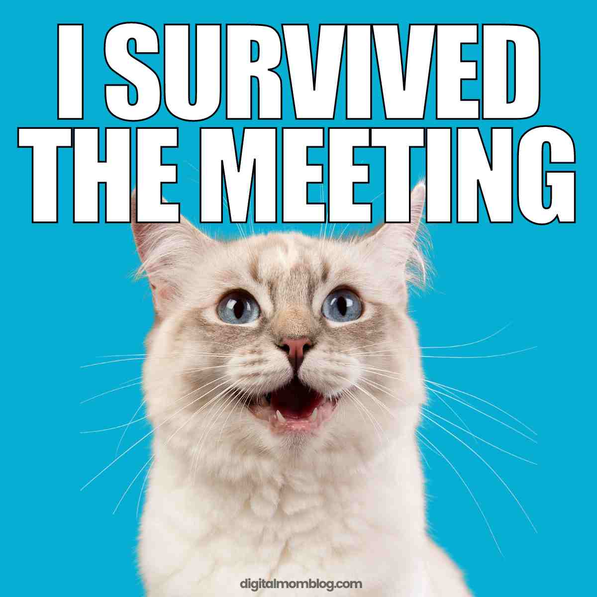 65 Funny Meeting Memes To Add Humor To The Workplace Agenda