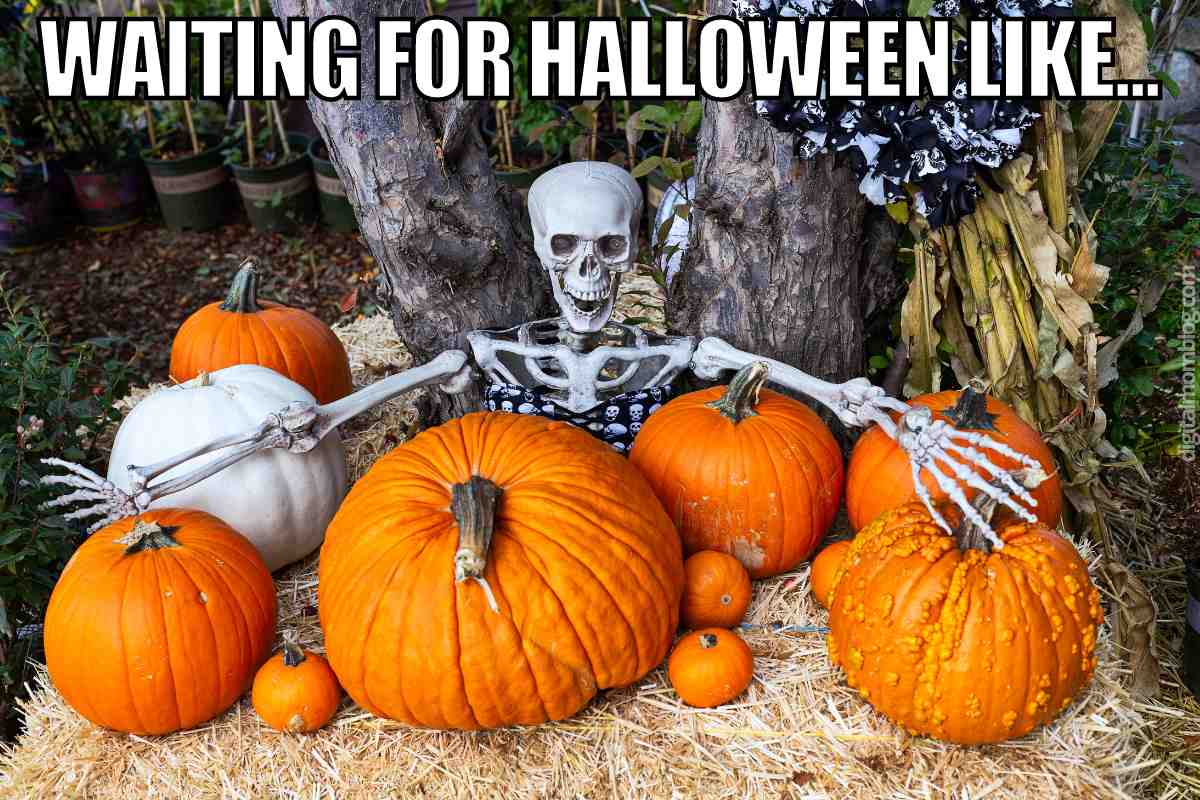 45 Hilarious Halloween Memes To Boost Your Spooky Spirit