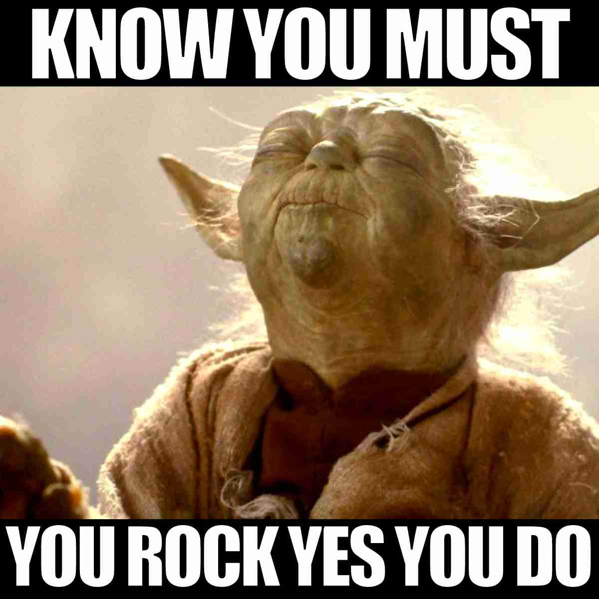 Best You Rock Memes To Make Someones Day 10000x Better