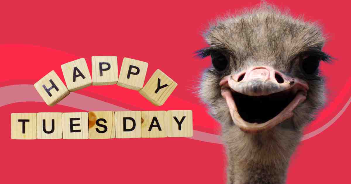 20 Happy Tuesday Memes And Images For A Great Day