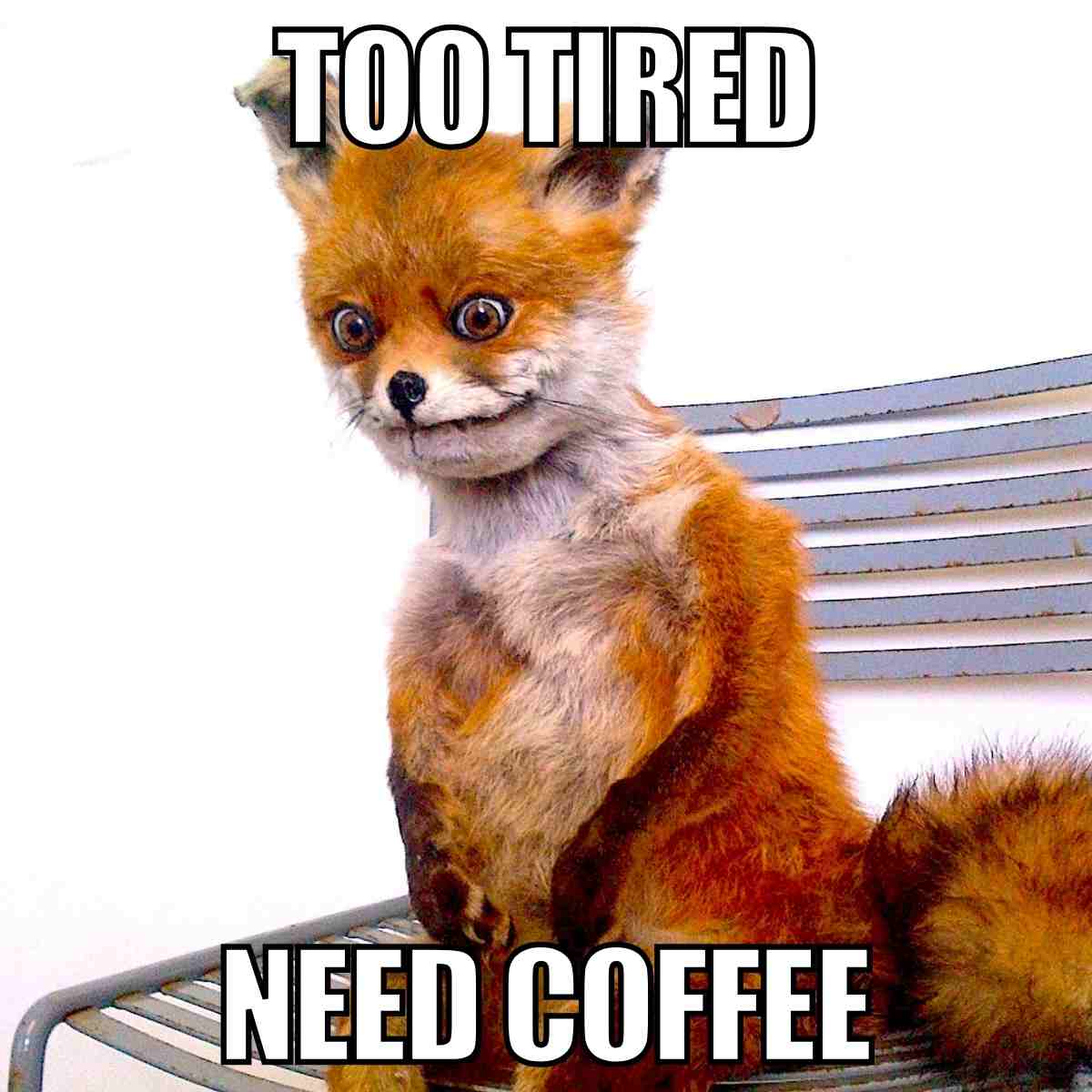 30+ Hilarious Tired Memes For The Sleep-Deprived