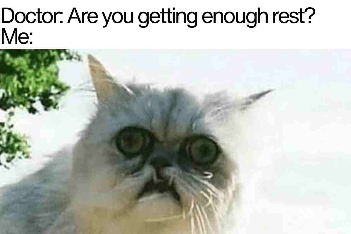 30+ Hilarious Tired Memes For The Sleep-Deprived