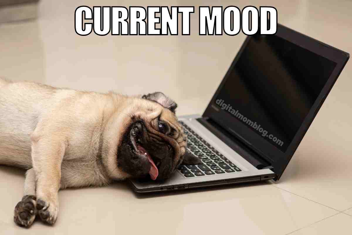 30+ Hilarious Tired Memes For The Sleep-Deprived