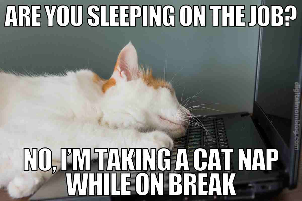 30+ Hilarious Tired Memes For The Sleep-Deprived