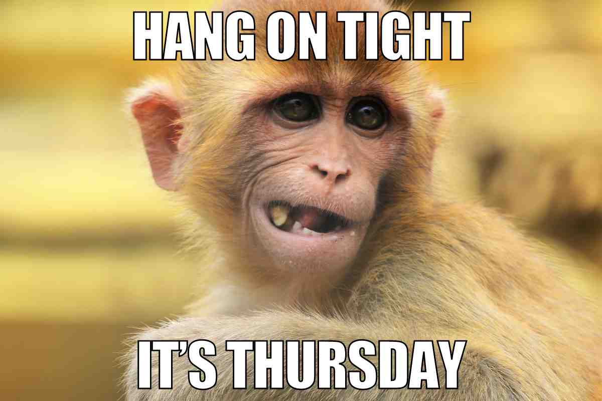 40 Funny Thursday Memes To Help You Survive The Week