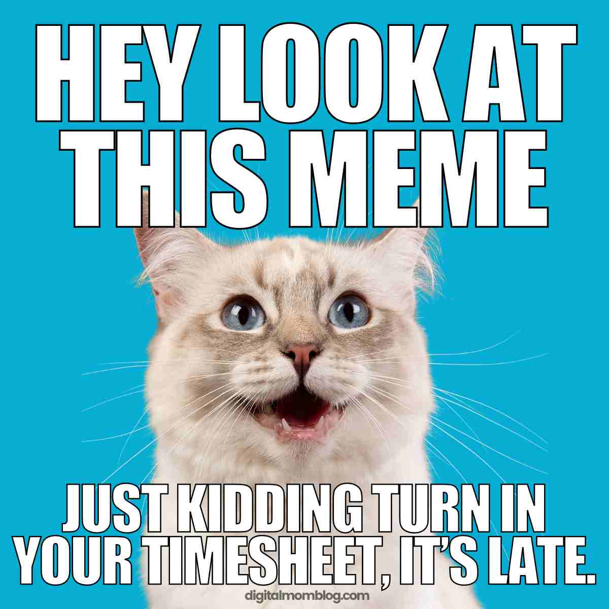 50 Funny Late Memes About Procrastination And Being Tardy