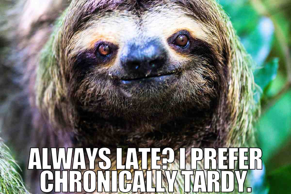 50 Funny Late Memes About Procrastination And Being Tardy