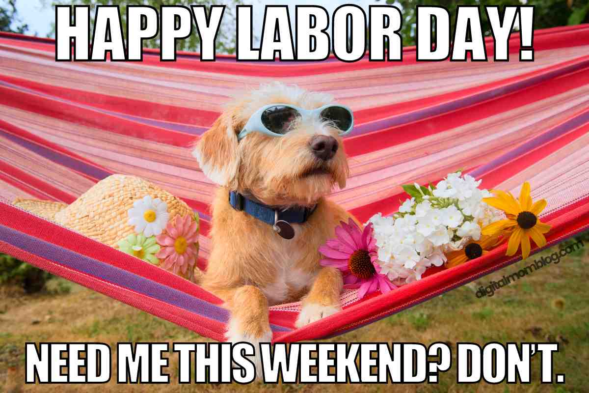 20 Funniest Labor Day Memes To Celebrate Not Working