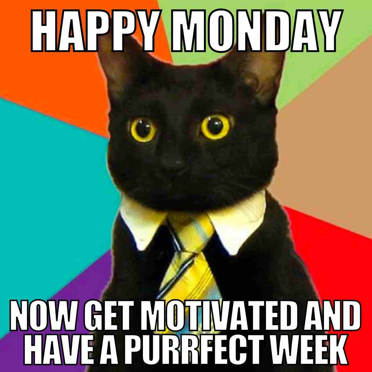 30 Awesome Monday Motivation Memes To Get You Going