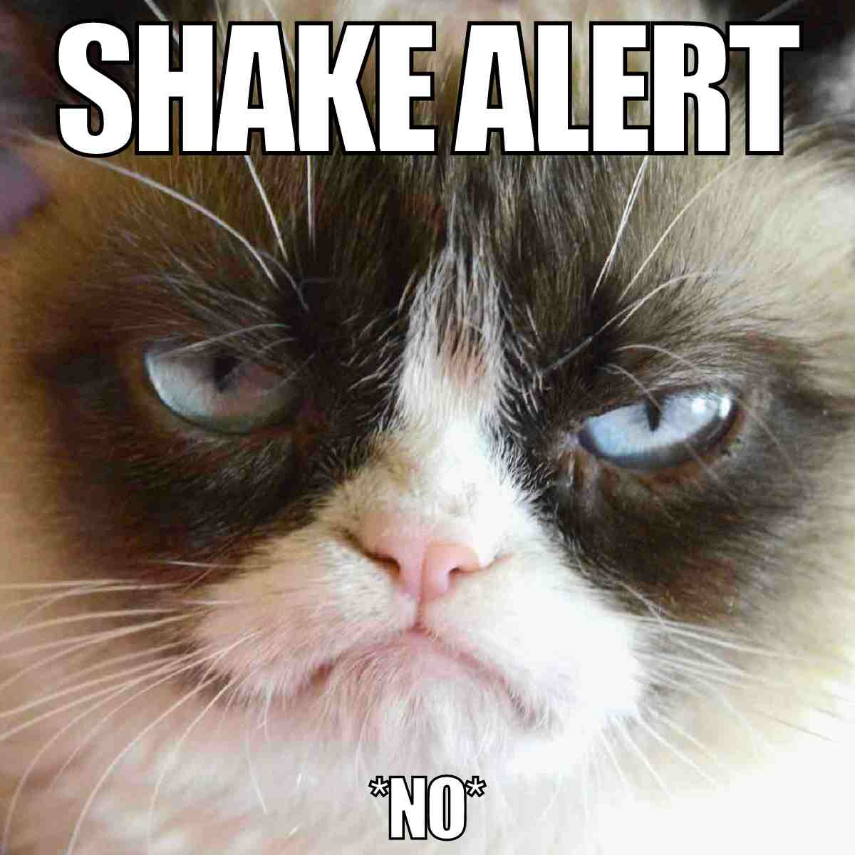 15 Funny Earthquake Memes That Shook The Internet