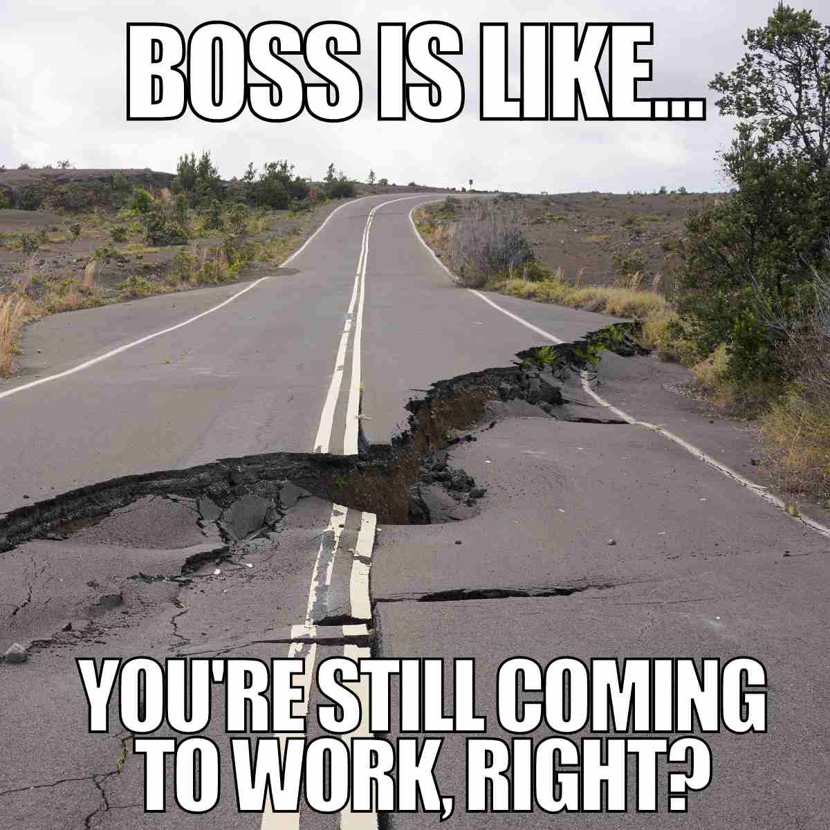 15 Funny Earthquake Memes That Shook The Internet