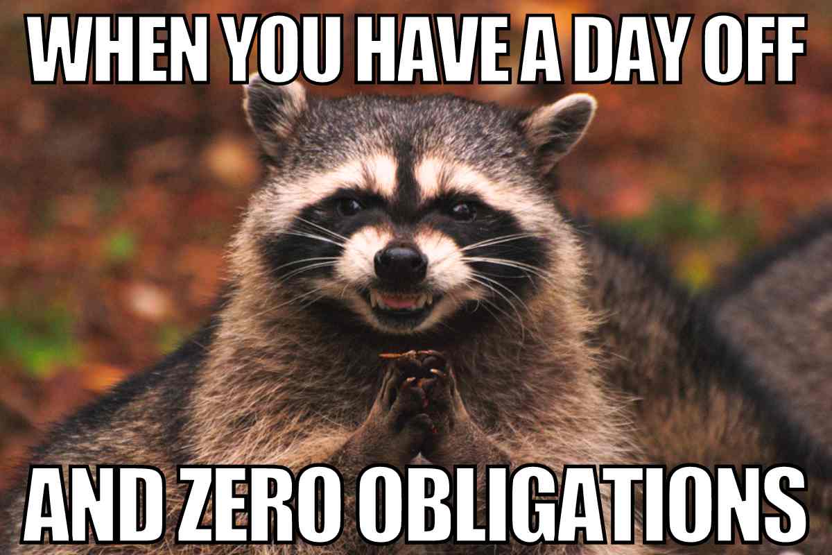 100+ Hilarious Work Memes To Share With Co-Workers