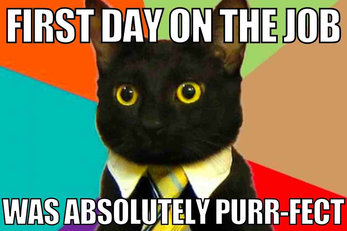 Best Job Memes That Perfectly Capture Your 9-to-5 Struggles