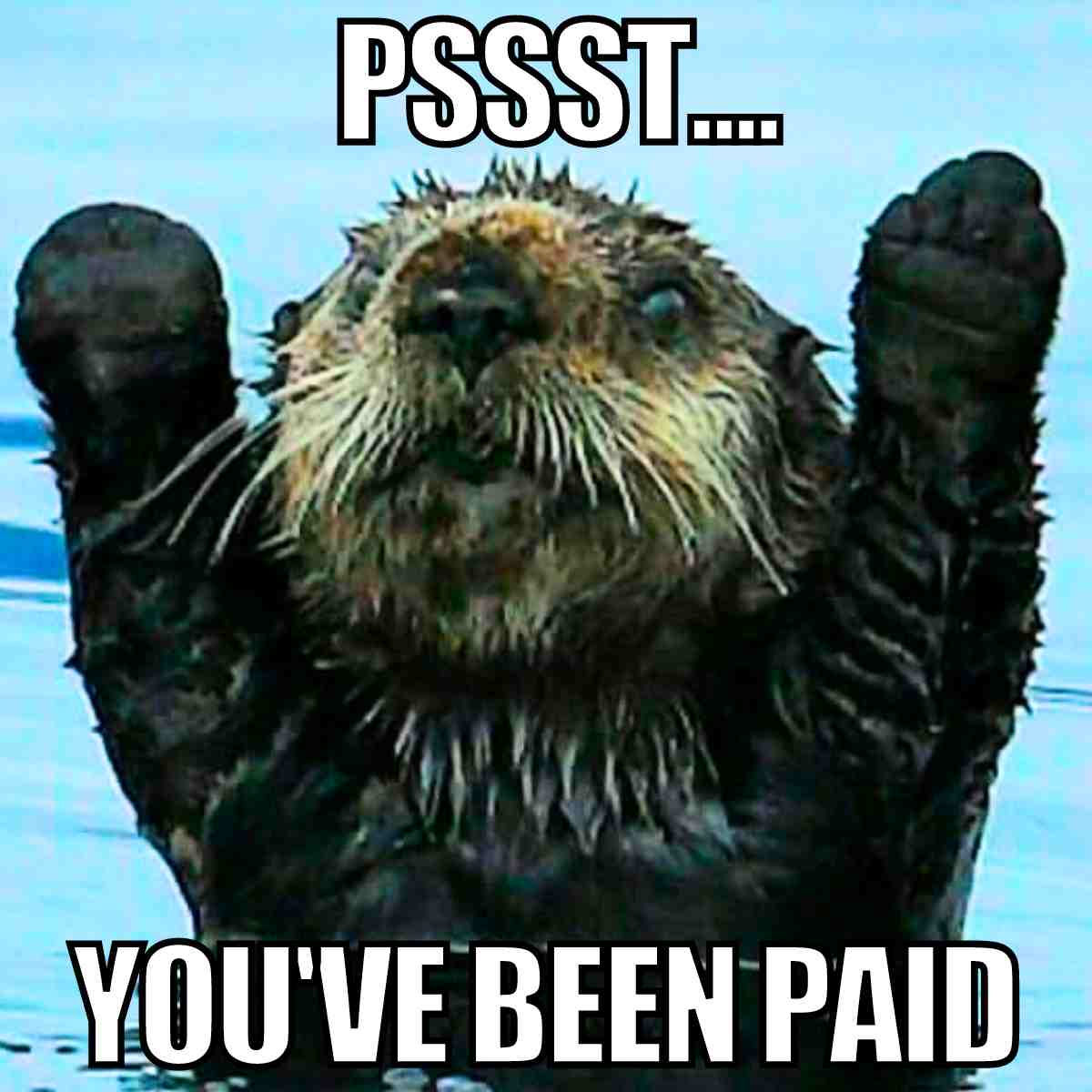 25 Hilarious Payroll Memes For Laughs Until Payday