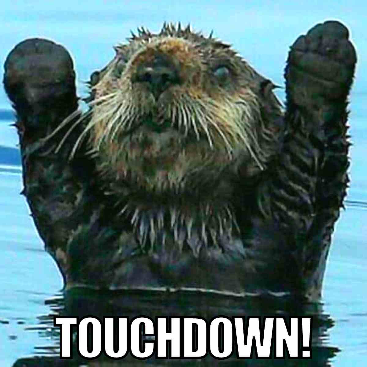 Funny Football Memes For Game Day Laughs