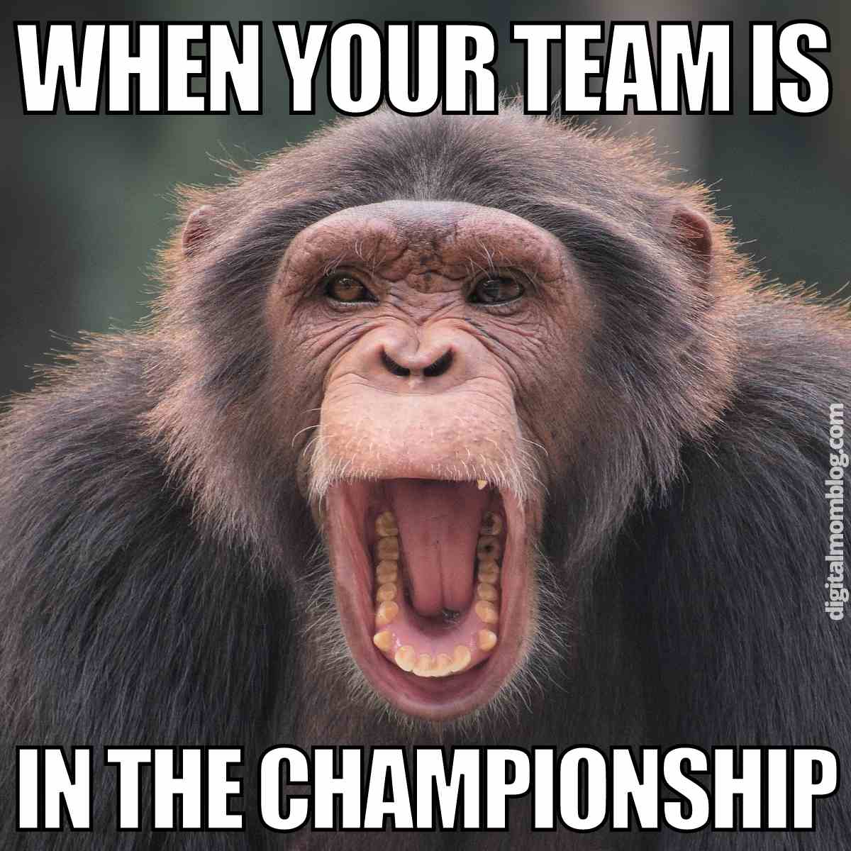 Funny Football Memes For Game Day Laughs