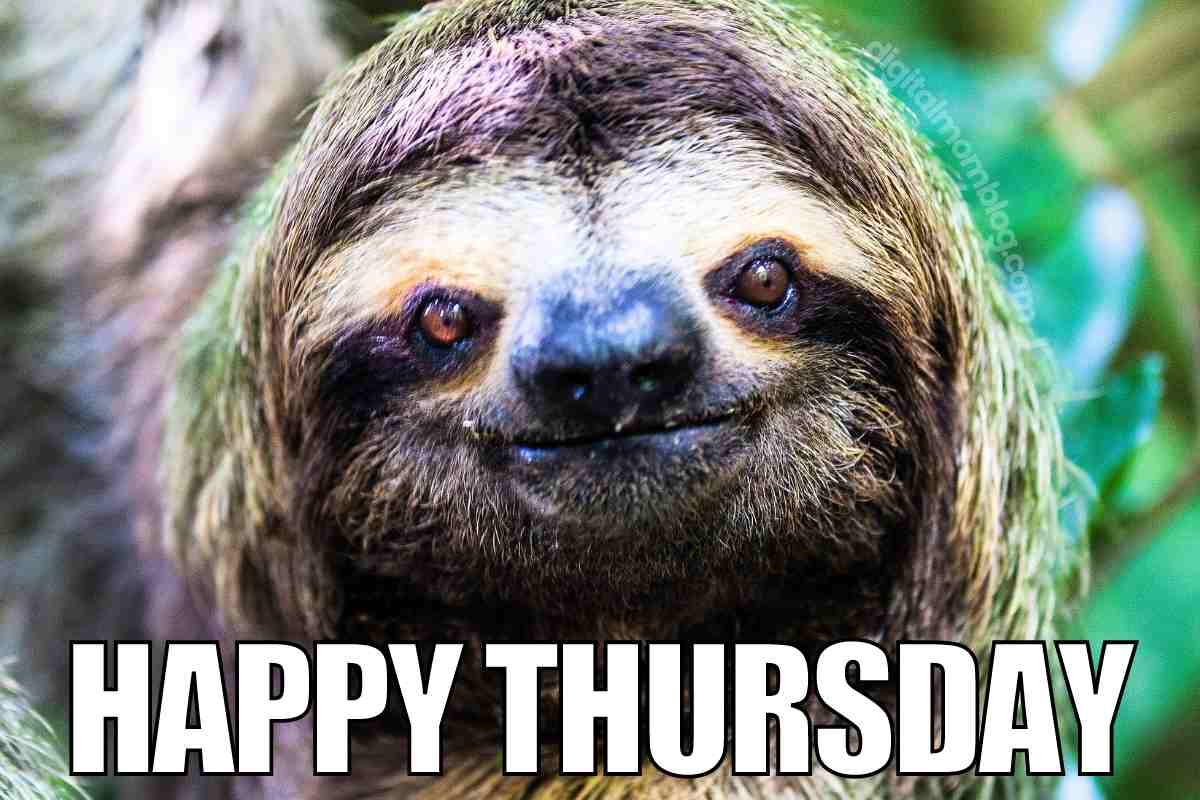 40 Funny Thursday Memes To Help You Survive The Week