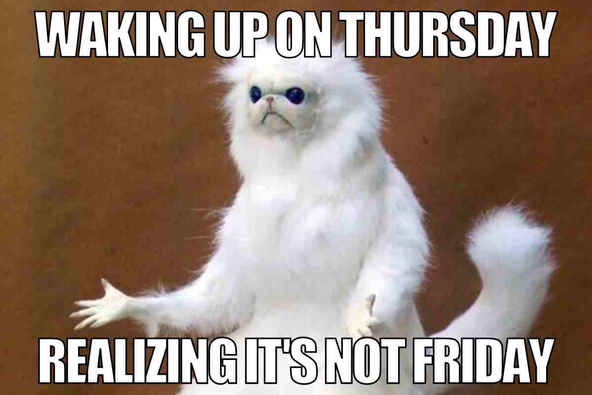 40 Funny Thursday Memes To Help You Survive The Week