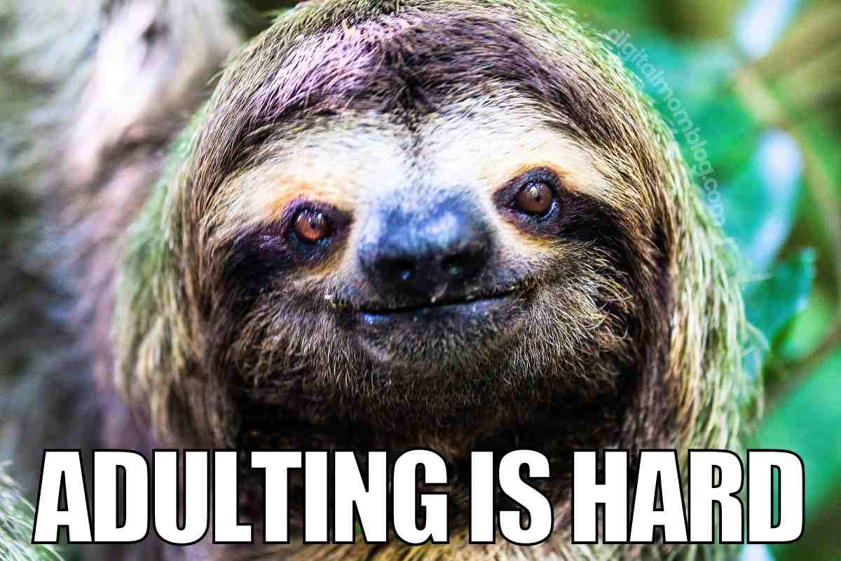 50 Funny Adulting Memes That Prove Growing Up Is Overrated