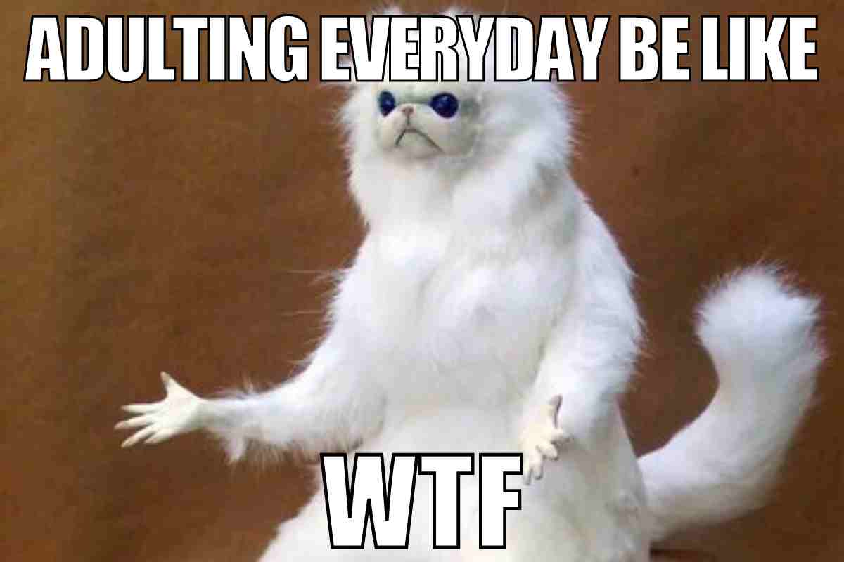 50 Funny Adulting Memes That Prove Growing Up Is Overrated