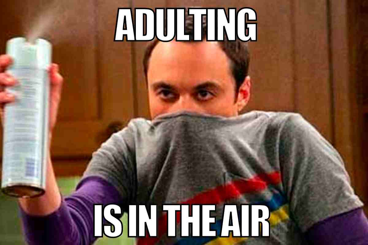 50 Funny Adulting Memes That Prove Growing Up Is Overrated