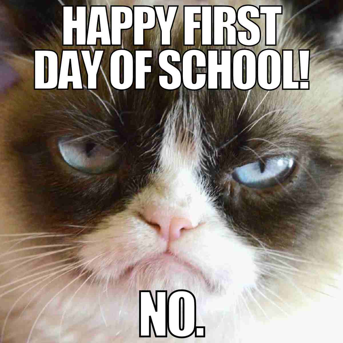 30 Best First Day Of School Memes For Teachers And Students