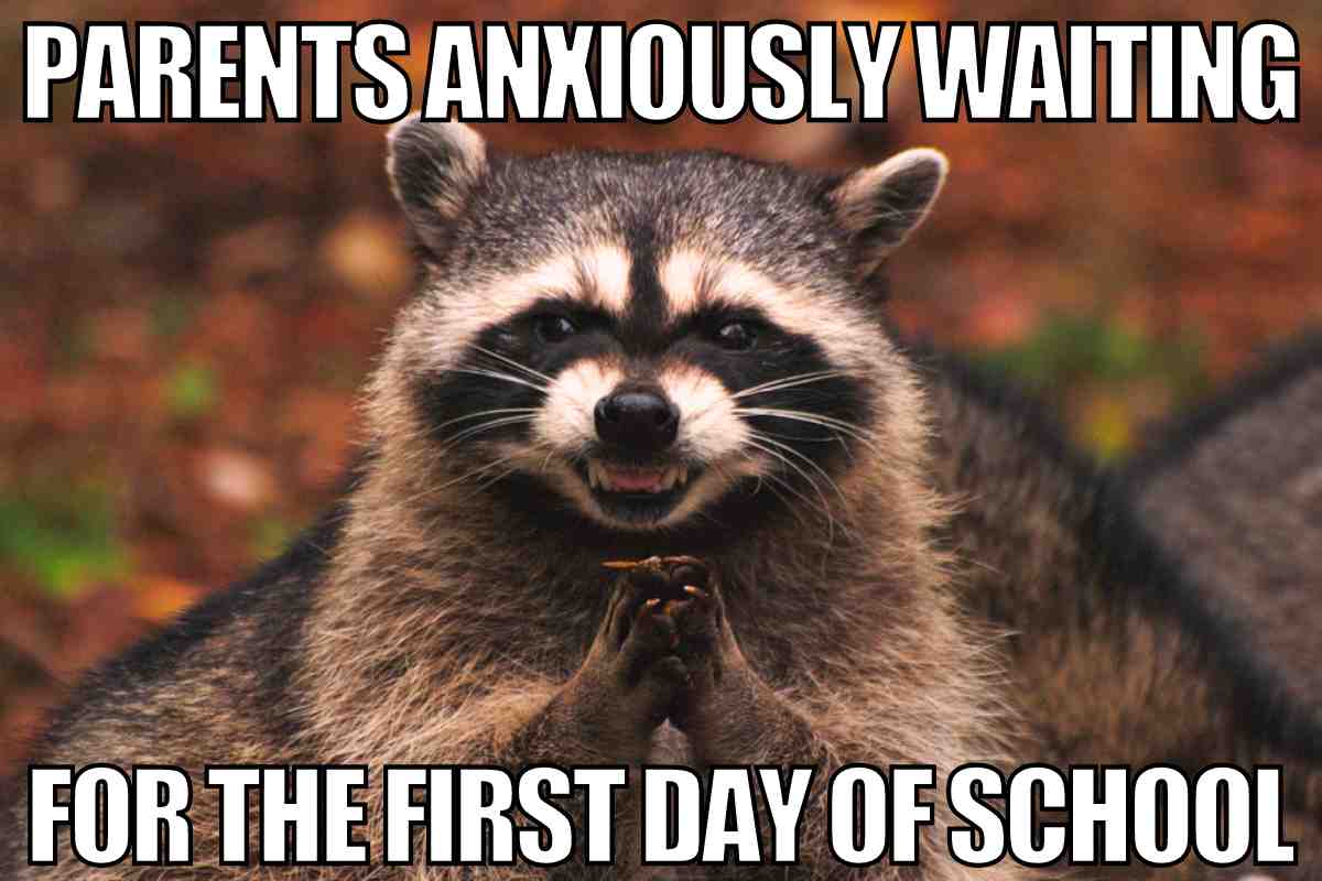 30 Best First Day Of School Memes For Teachers And Students