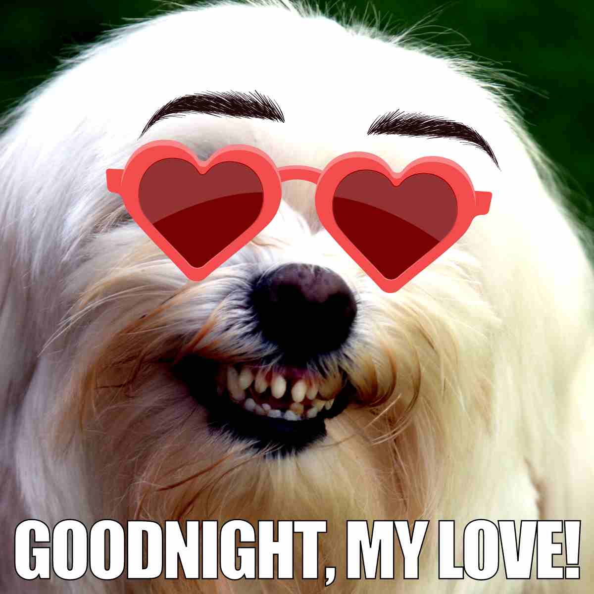 27 Best Goodnight Memes To Share Before Bedtime