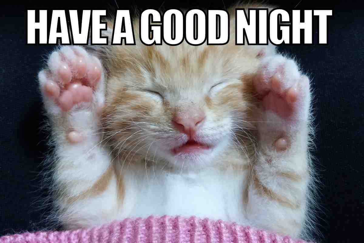 27 Best Goodnight Memes To Share Before Bedtime