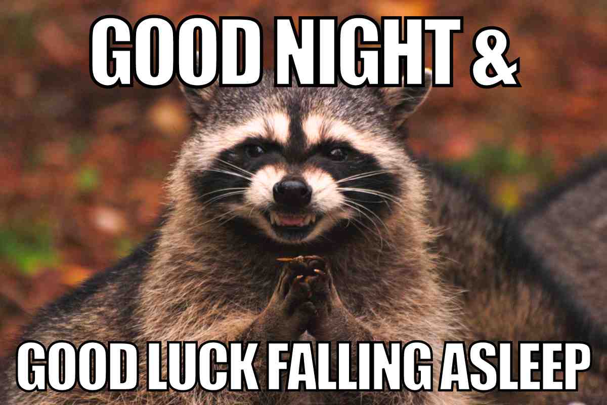 27 Best Goodnight Memes To Share Before Bedtime