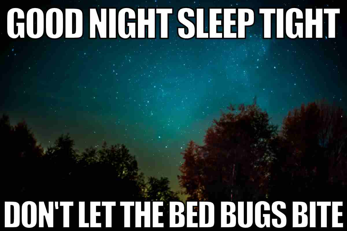 27 Best Goodnight Memes To Share Before Bedtime