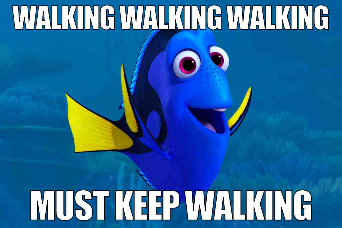 20 Funny Walking Memes That'll Make You Laugh Your Socks Off
