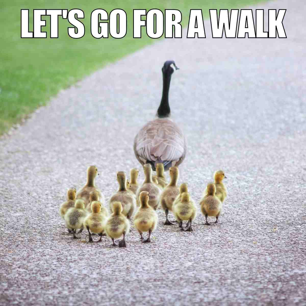 20 Funny Walking Memes That'll Make You Laugh Your Socks Off