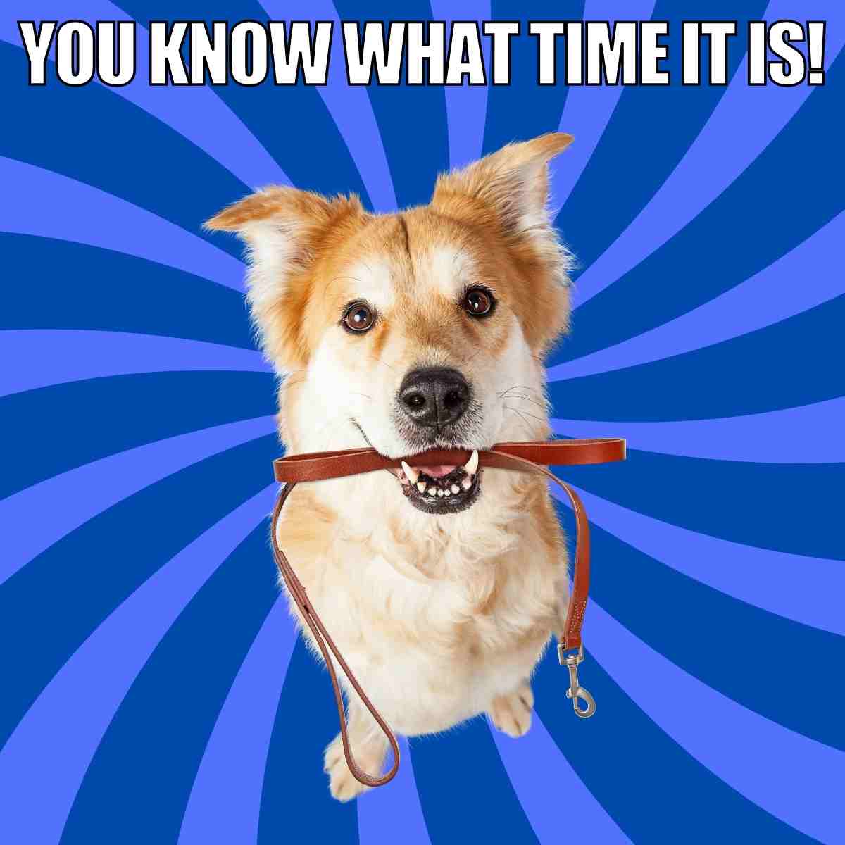 20 Funny Walking Memes That'll Make You Laugh Your Socks Off