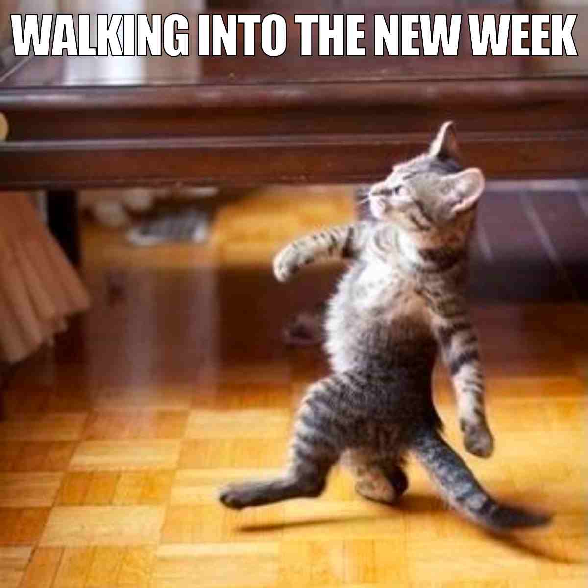20 Funny Walking Memes That'll Make You Laugh Your Socks Off