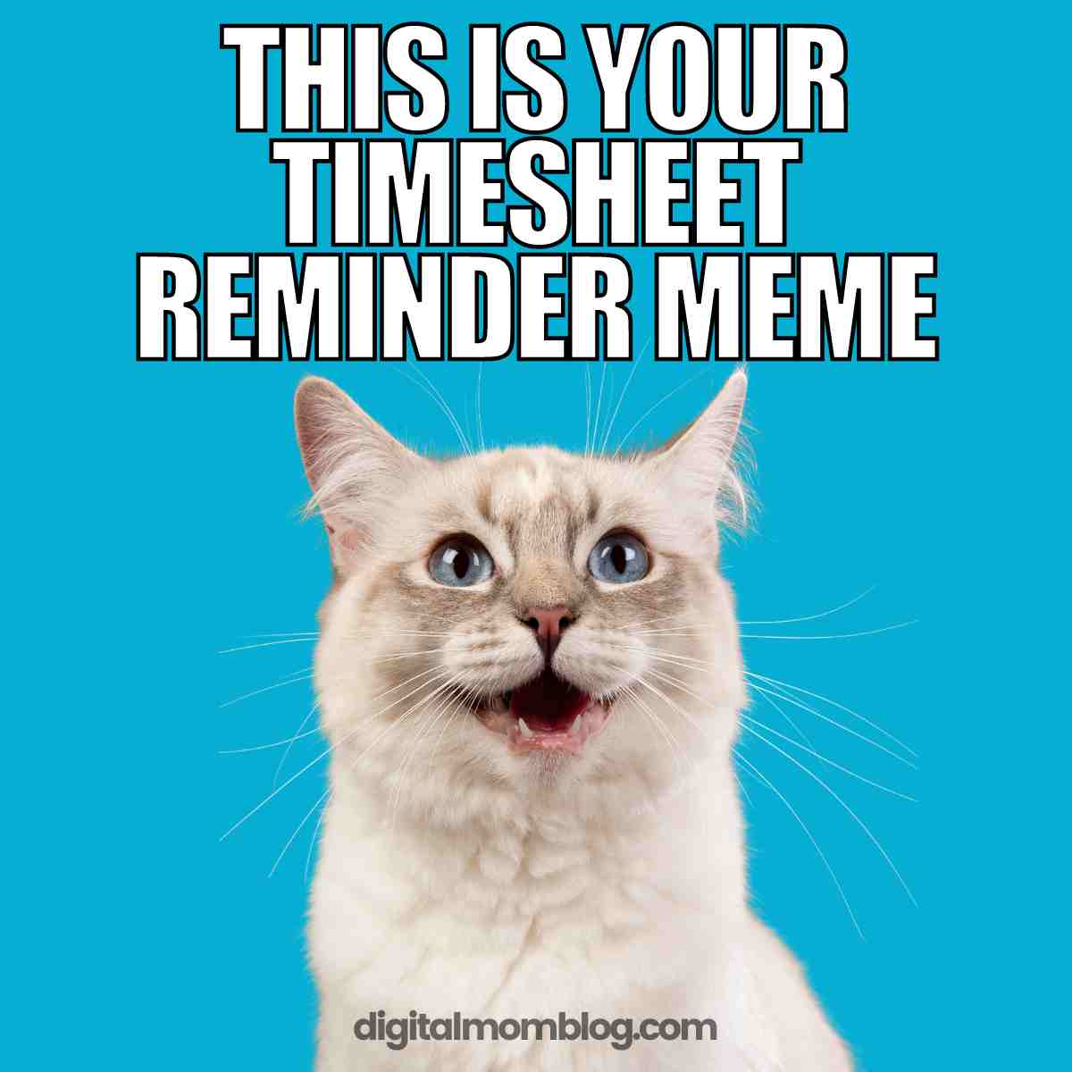 25 Funny Timesheet Memes And Reminders For The Forgetful